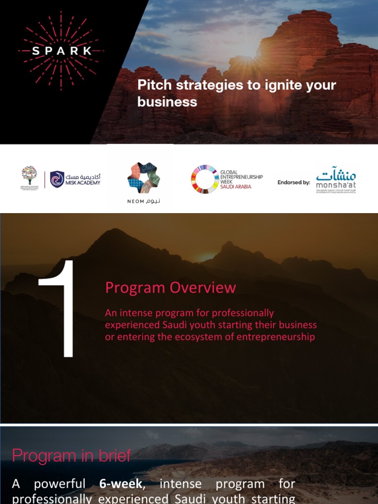 SPARK - Program Overview | PDF | Business Model | Market (Economics)