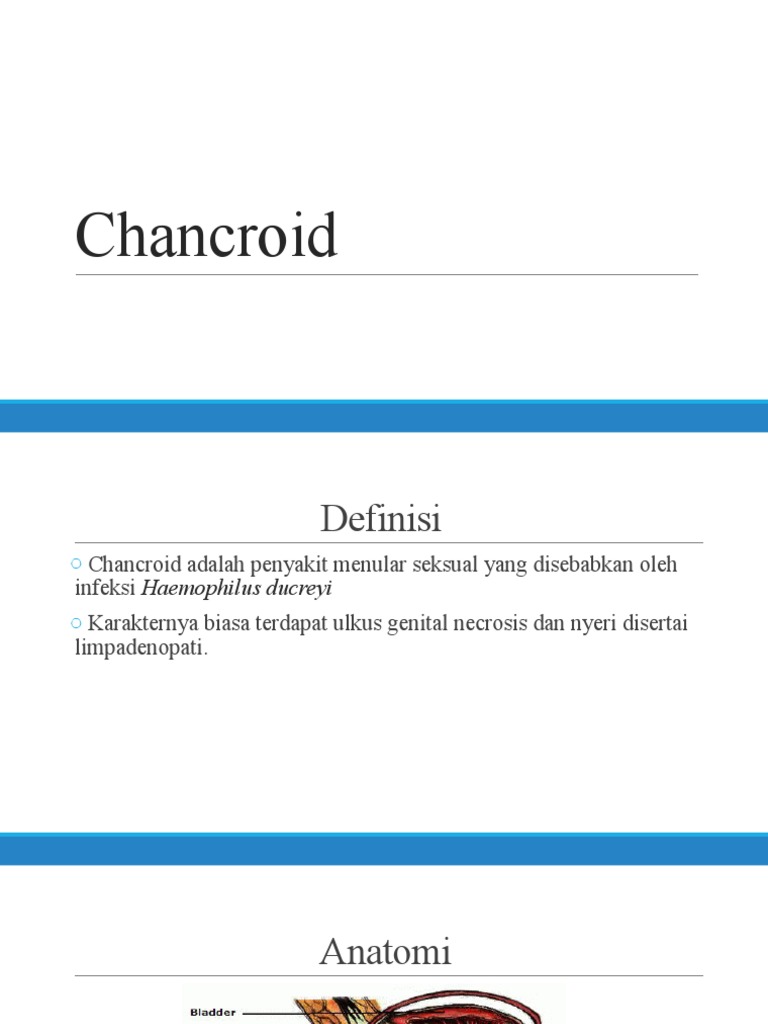 Chancroid | PDF
