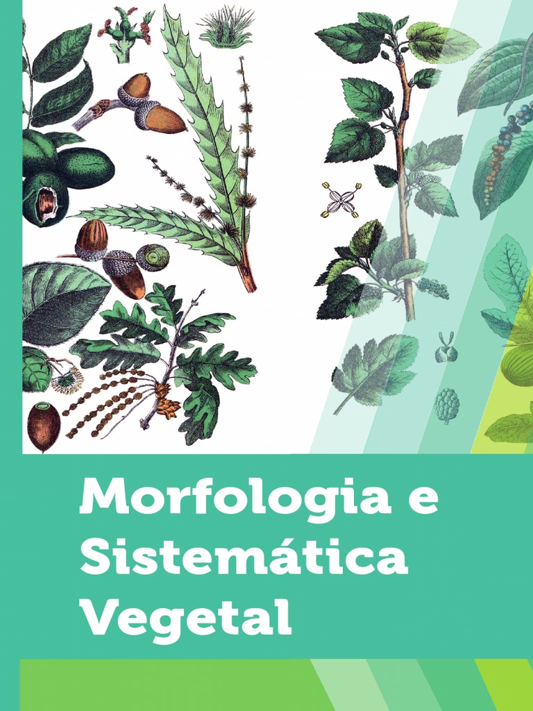 Morfologia e Sistemática Vegetal | PDF | Raiz | Plantas