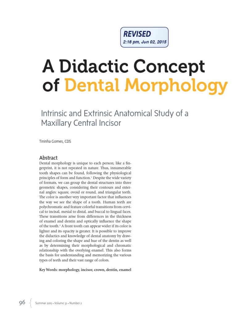 A Didactic Concept Of: Dental Morphology | PDF | Tooth Enamel | Dental ...