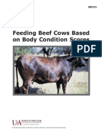 Calf Rearing Guide | PDF | Milk | Ruminant