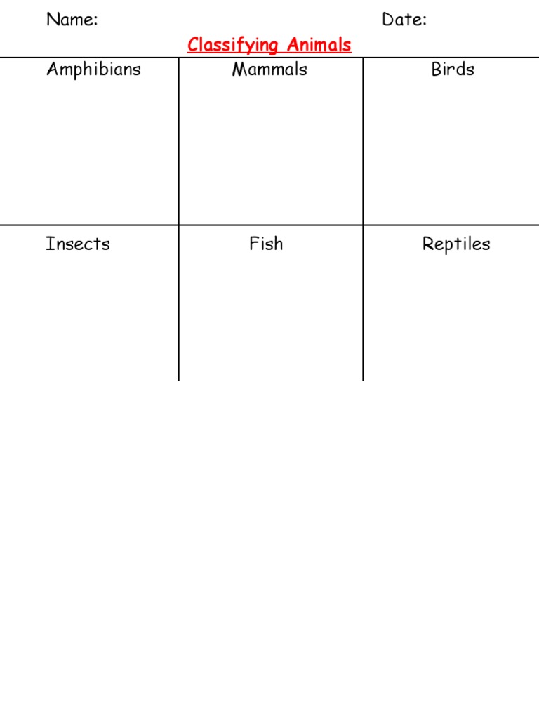 Classifying Animals Pciture Worksheet | PDF