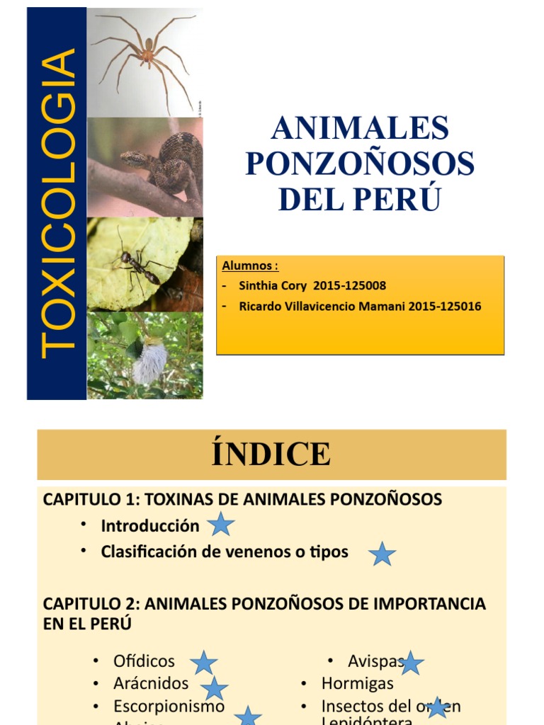 Wefwefw | PDF | Araña | Serpiente
