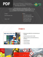 Presentación NOM-005-STPS-1998 | PDF | Bienestar | Medicina