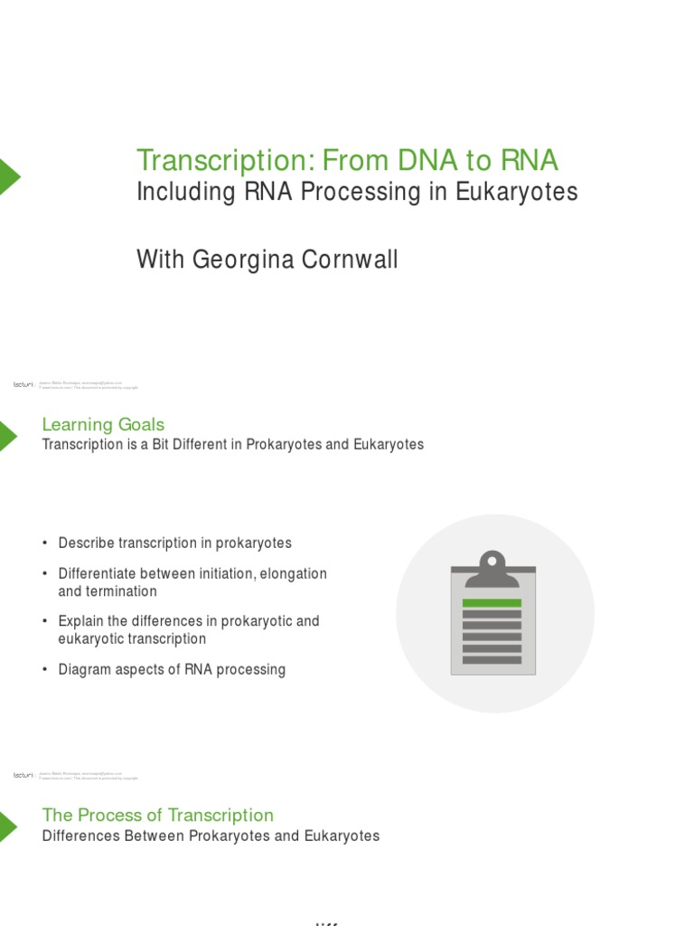 Transcription: From DNA To RNA: Including RNA Processing in Eukaryotes ...