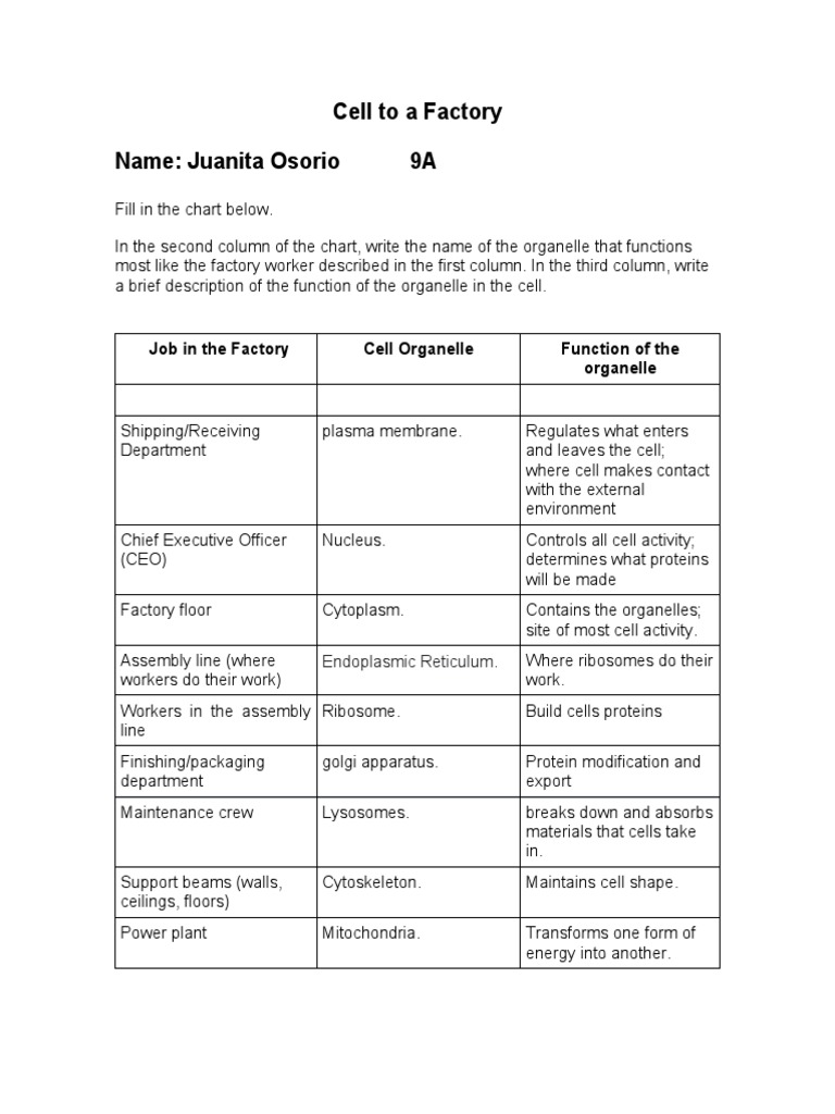Cell As A Factory Worksheet | PDF