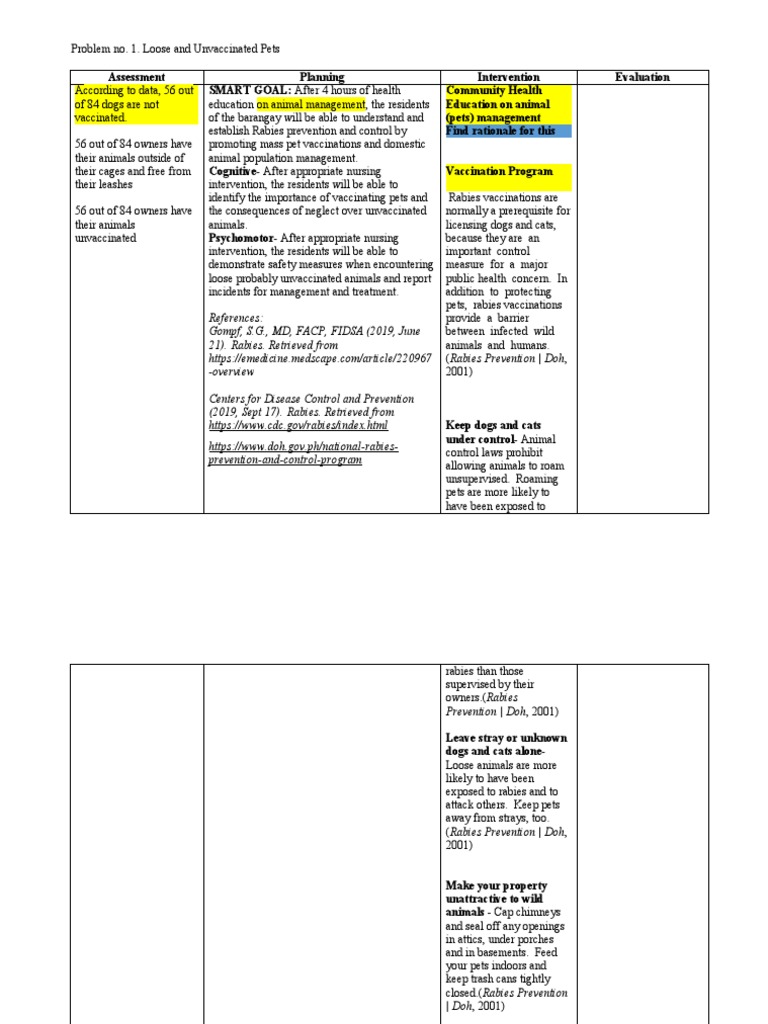 Community Care Plan 1 | PDF | Birth Control | Rabies