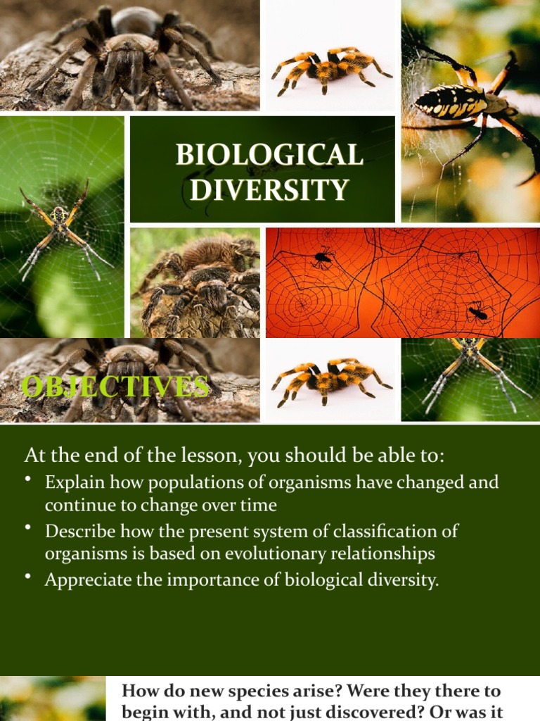 Understanding Biological Diversity and Evolution | PDF | Natural ...