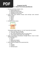 Latihan Soal Sistem Pencernaan Manusia Kelas 8 | PDF | Kesehatan Holistik