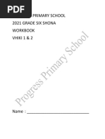 Grade 7 - Shona Paper 1 | PDF