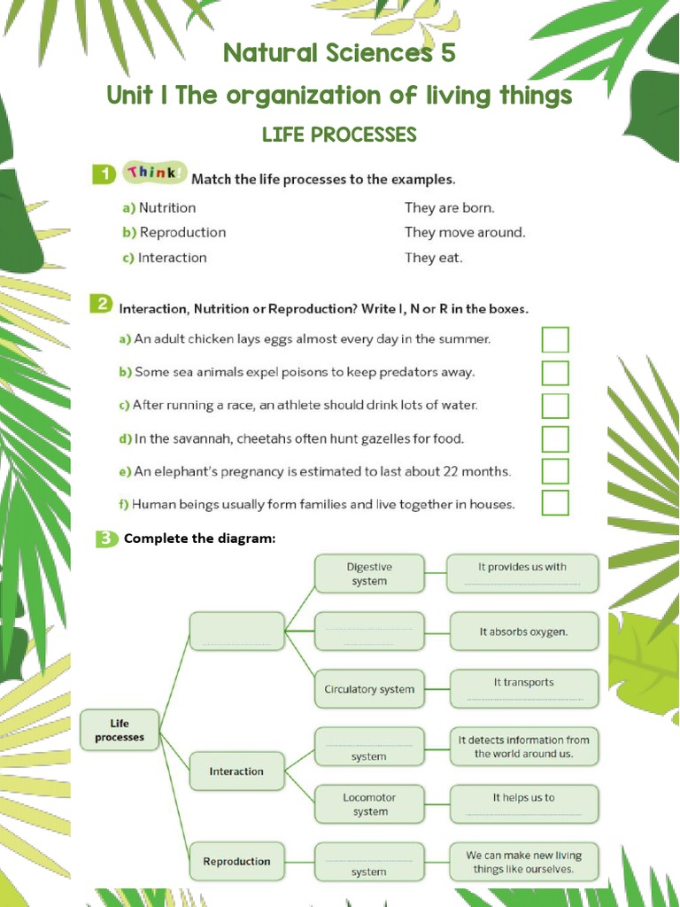 Natural Science 5 Unit 1 Life Processes | PDF