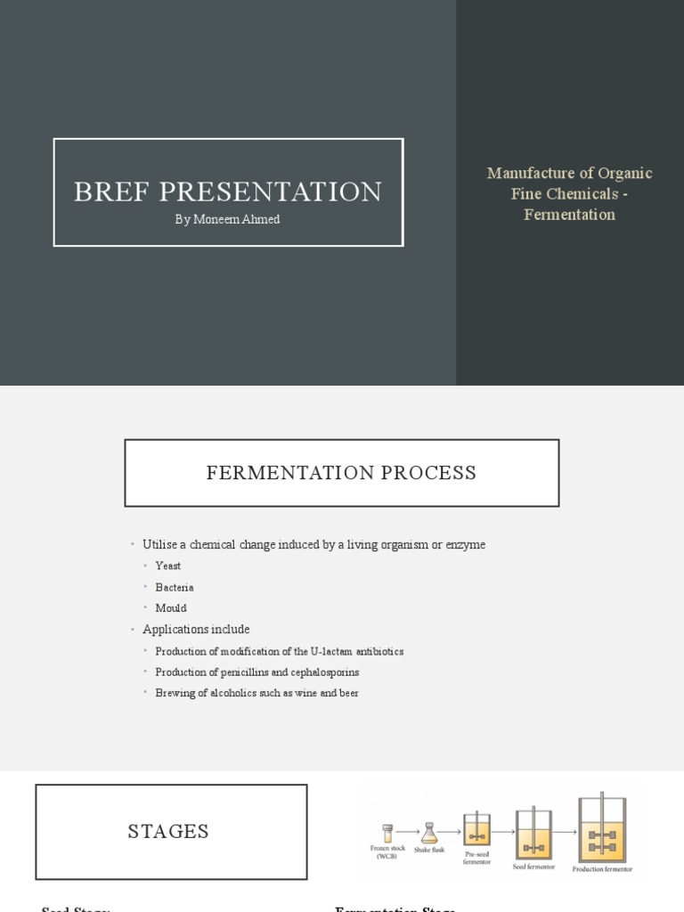 Bref Presentation: Manufacture of Organic Fine Chemicals - Fermentation ...