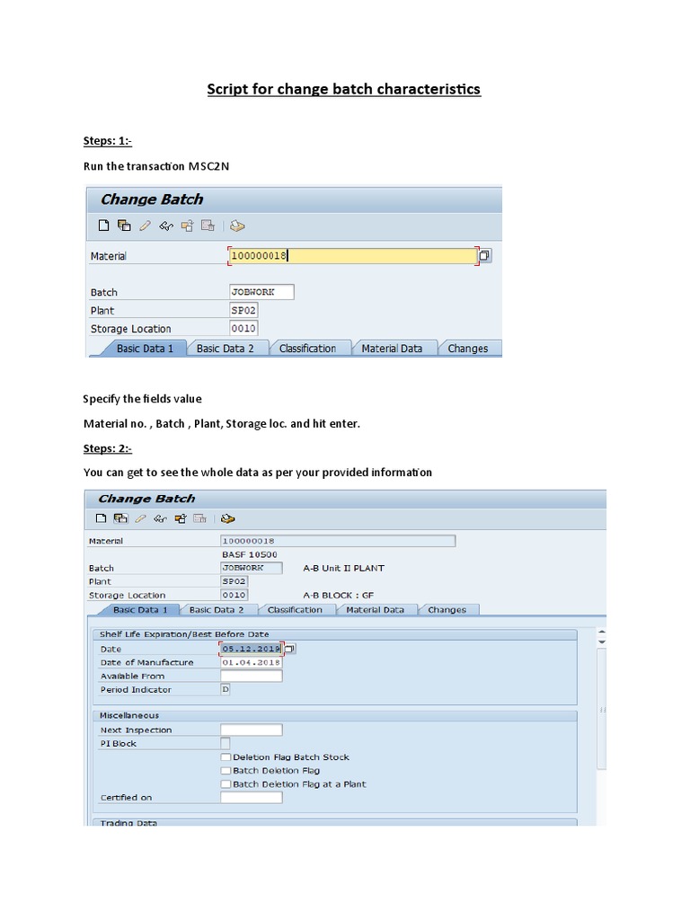 Script To Change Batch Characteristics | PDF