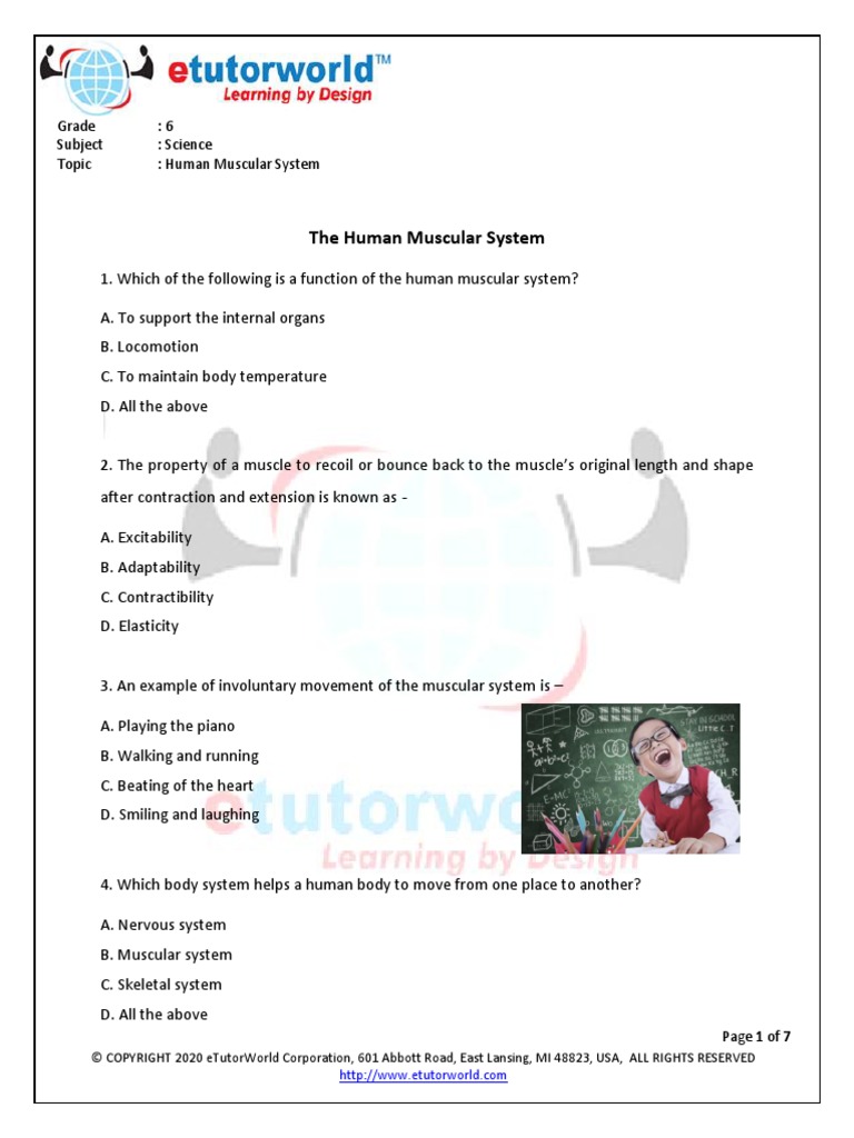 Grade: 6 Subject: Science Topic: Human Muscular System | PDF