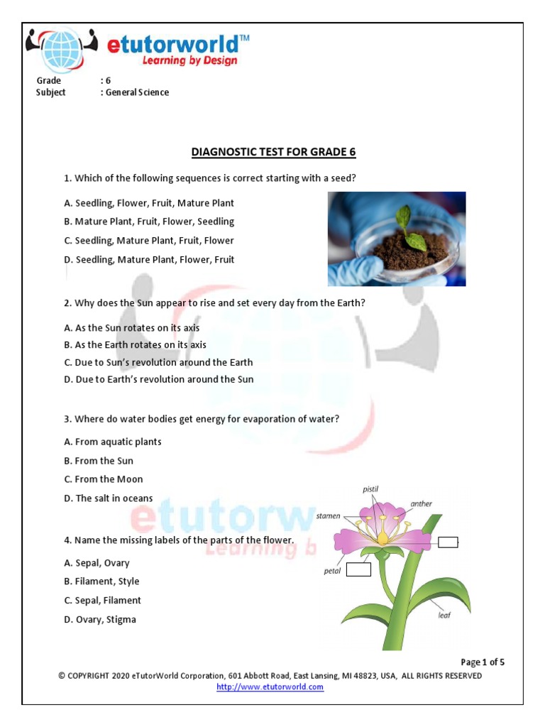 Grade 6 Science Diagnostic Test | PDF | Water Vapor | Transparent Materials