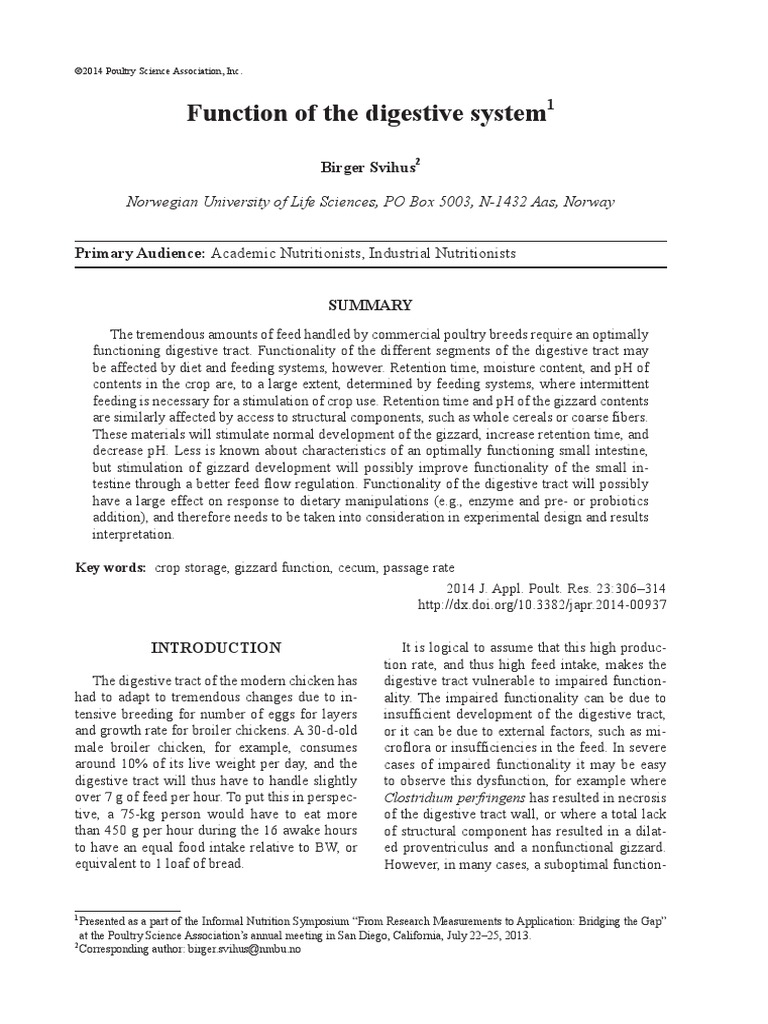 Avian Digestive System | PDF | Digestion | Gastrointestinal Tract