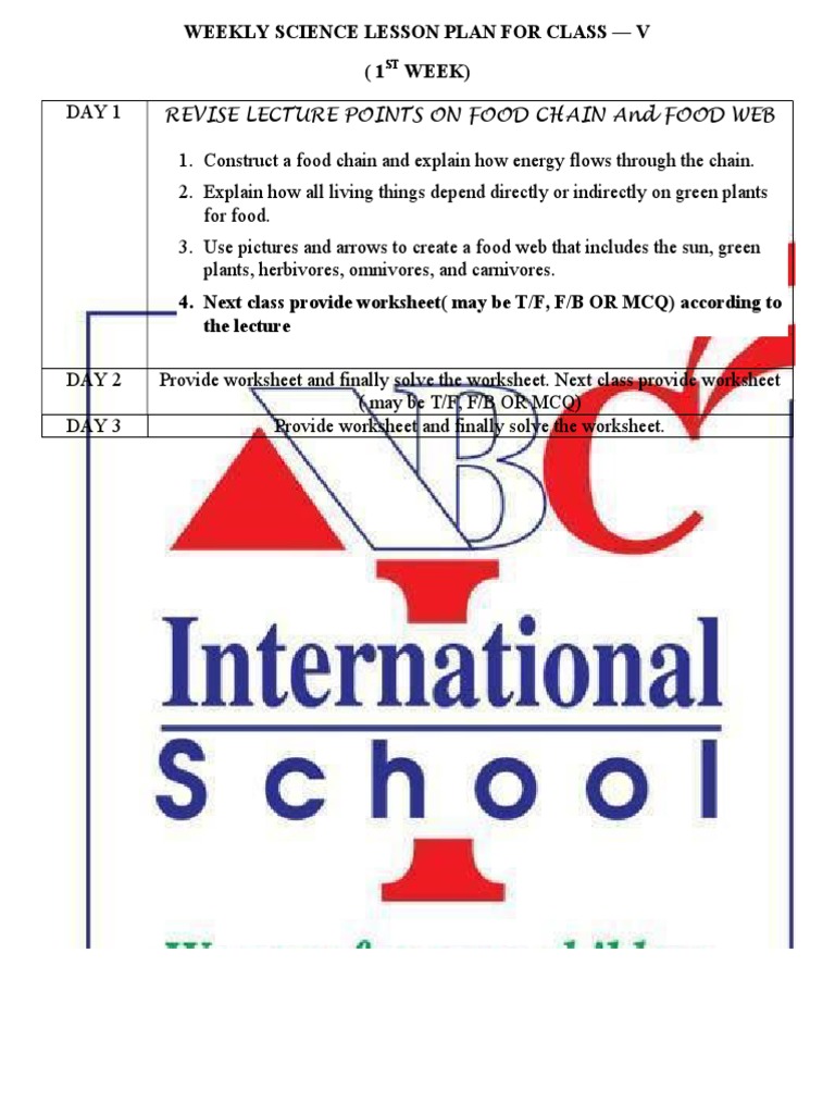 Food Chain Lesson Plan | PDF