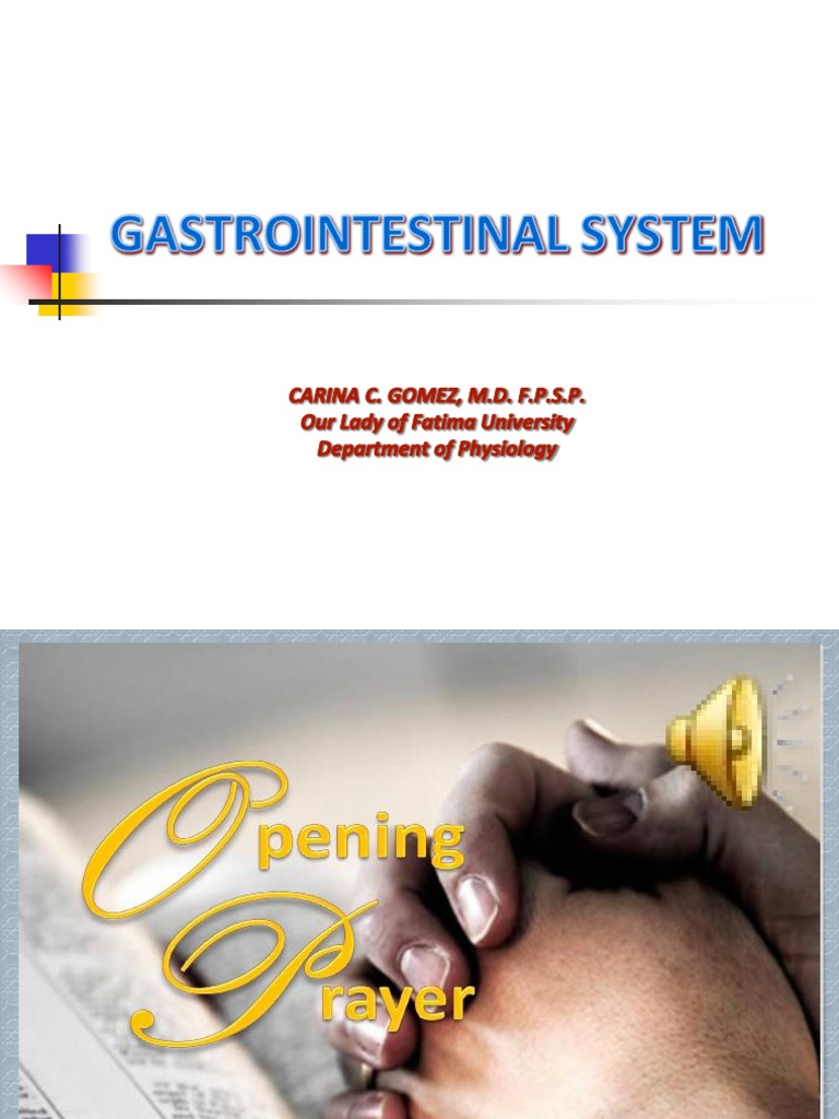 Git Physio | PDF | Digestion | Bile