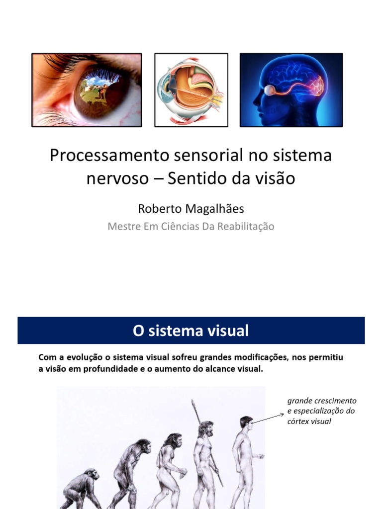 Sentido Da Visão PDF | PDF | Sistema visual | Olho humano