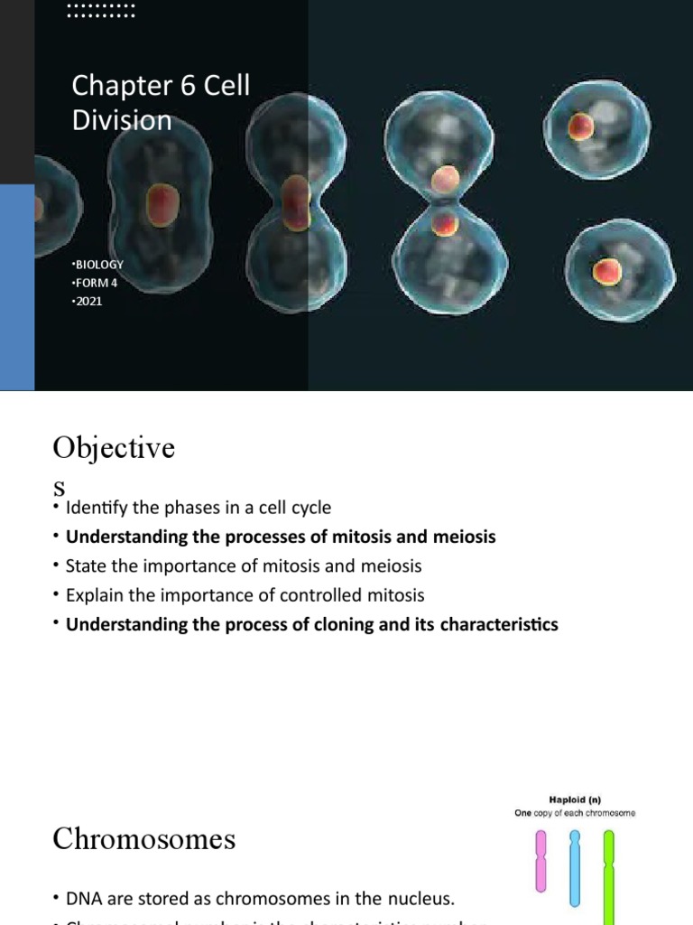 Chapter 6 Cell Division: - Biology - Form 4 - 2021 | PDF | Meiosis ...