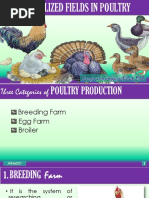 Poultry Management Practices Guide | PDF | Poultry Farming