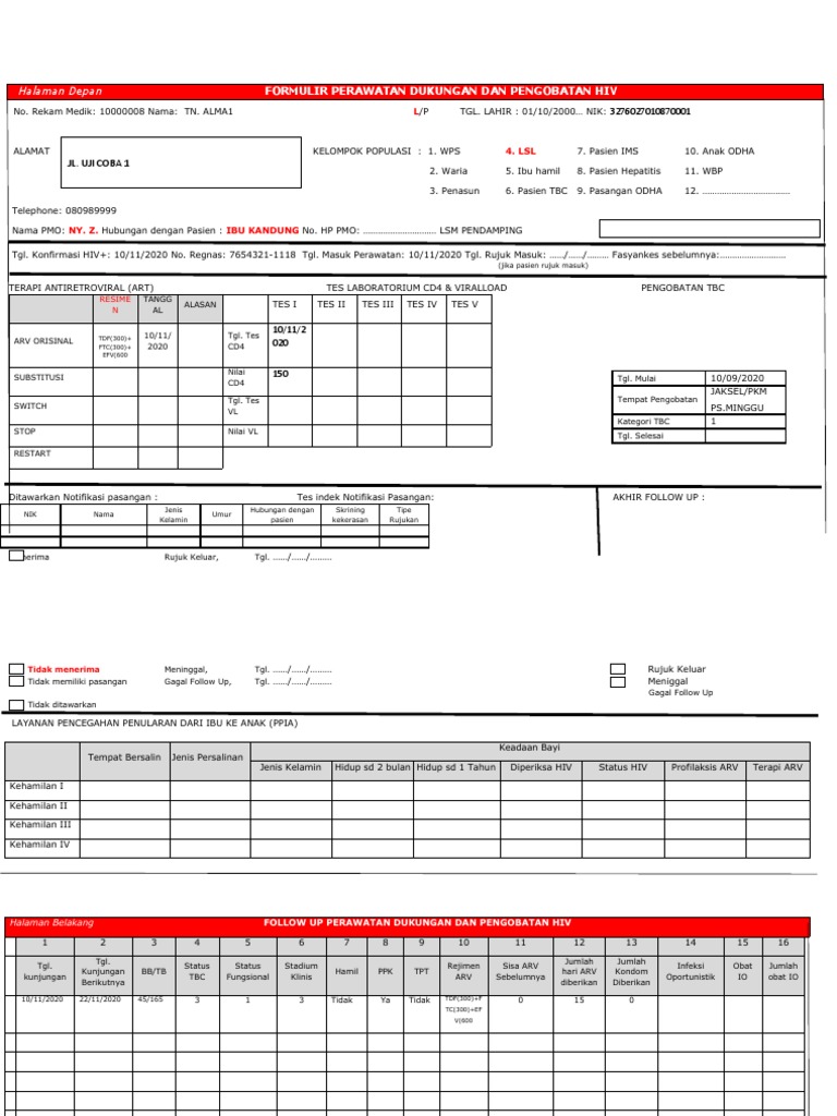 CTH - Formulir - Ikhtisar Formulir Pencatatan Dan Pelaporan | PDF