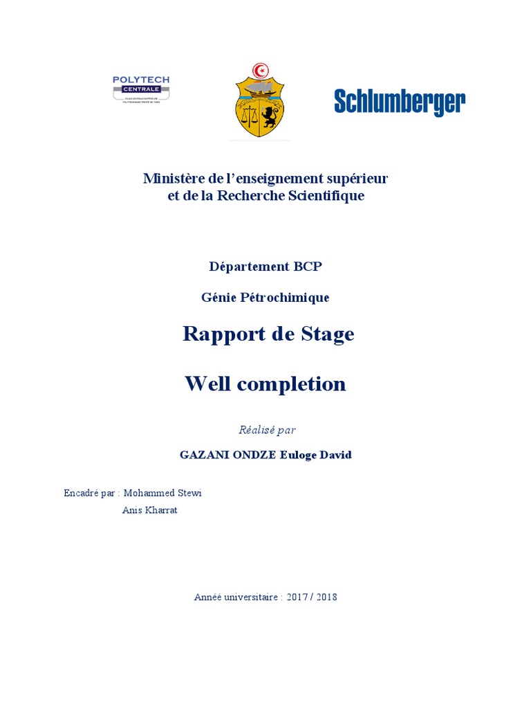 Schlumberger Well Completion | PDF | Casing (Borehole) | Hydraulic ...
