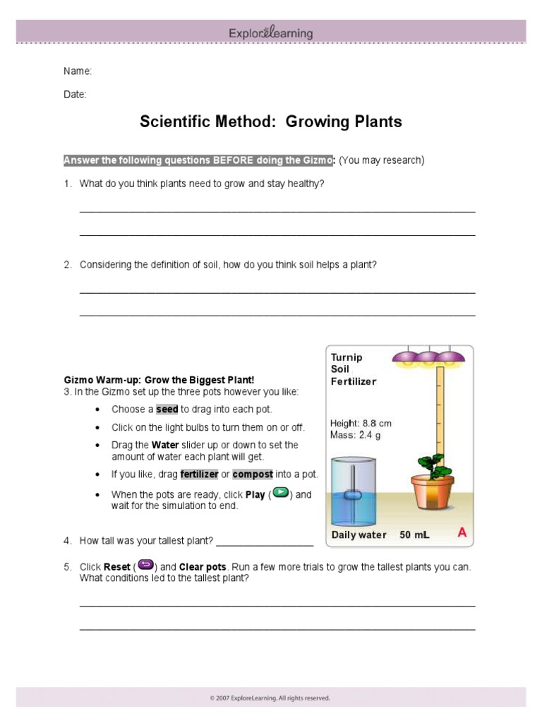 Scientific Method: Growing Plants: Answer The Following Questions ...