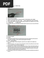 Transport in Cells POGIL | PDF | Science & Mathematics