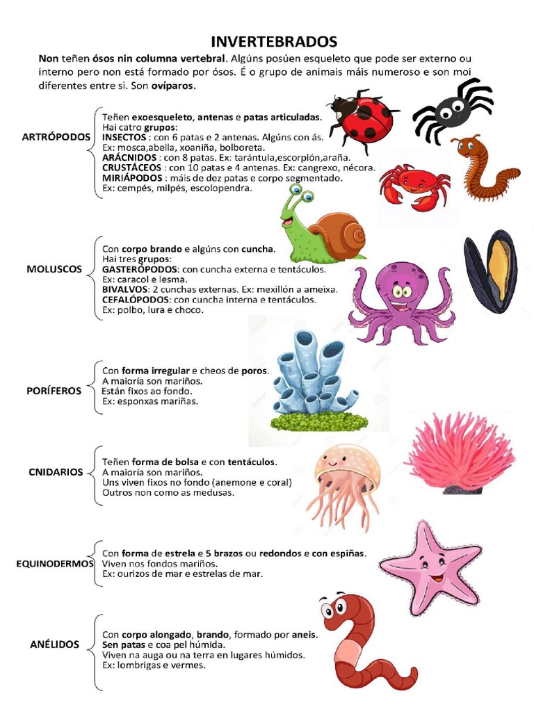 Clasificación Dos Invertebrados | PDF