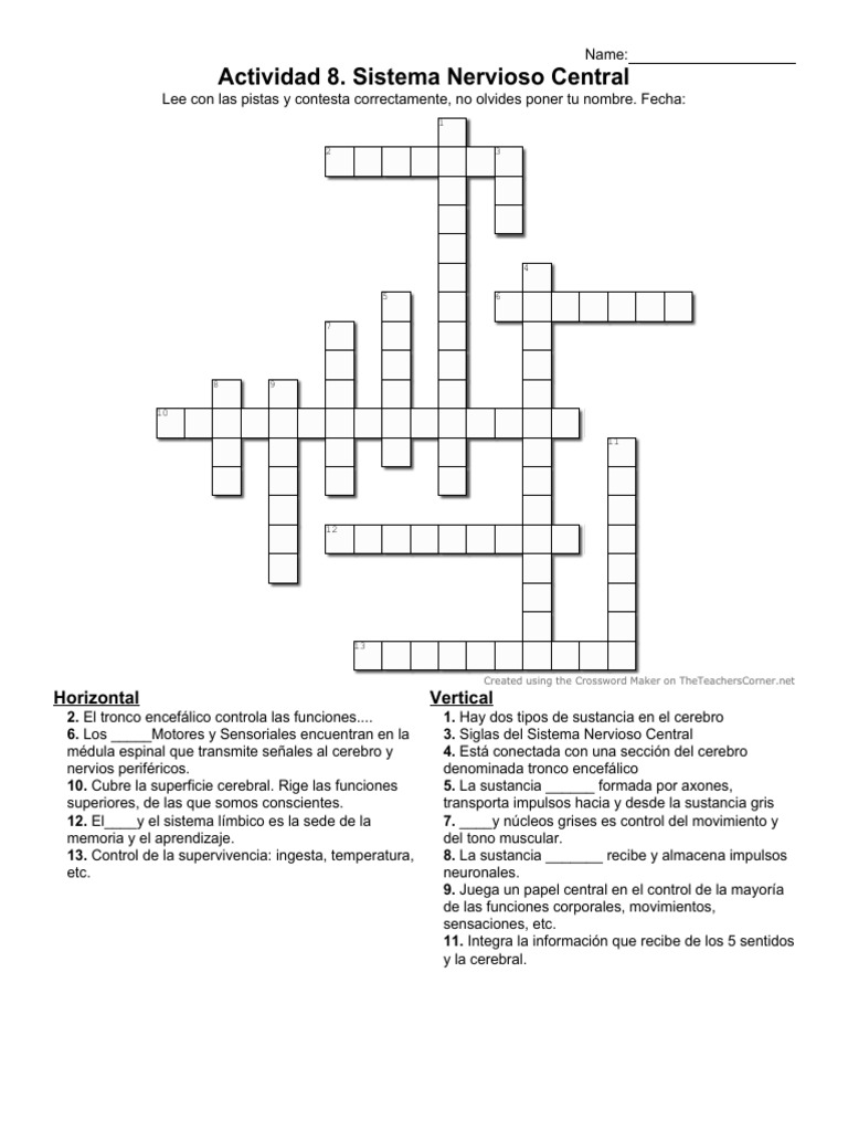 Actividad Crucigrama Sistema NErvioso Central | PDF