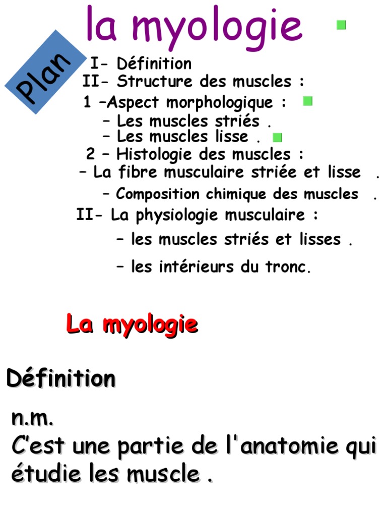 La Myologie 2017 | PDF | Myocyte | Muscle