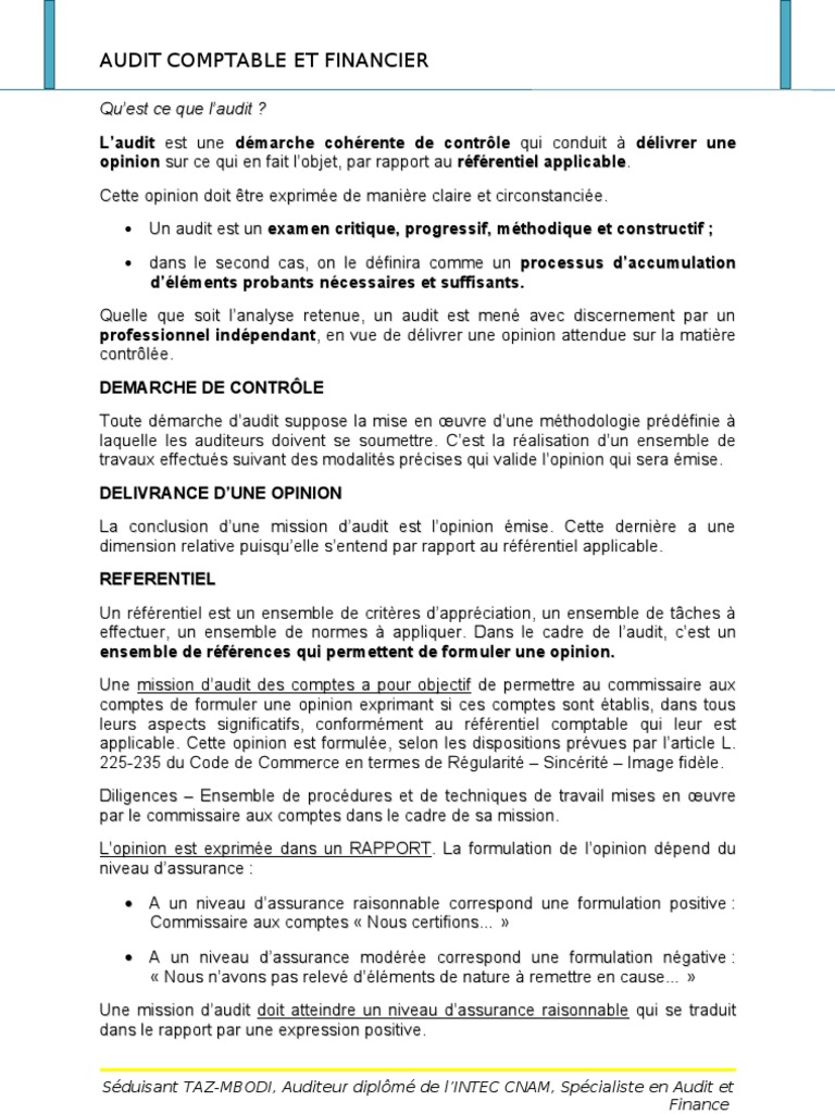 Audit Comptable Et Financier | PDF