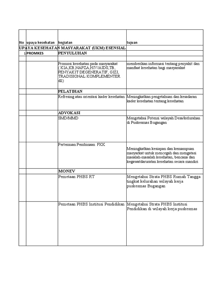 Format Kolom Ruk Rka RPK | PDF
