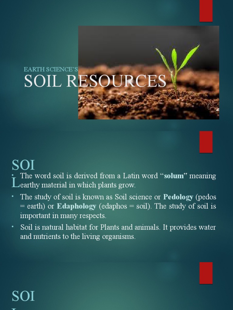 Soil Resources: Earth Science'S | PDF | Soil | Organic Matter