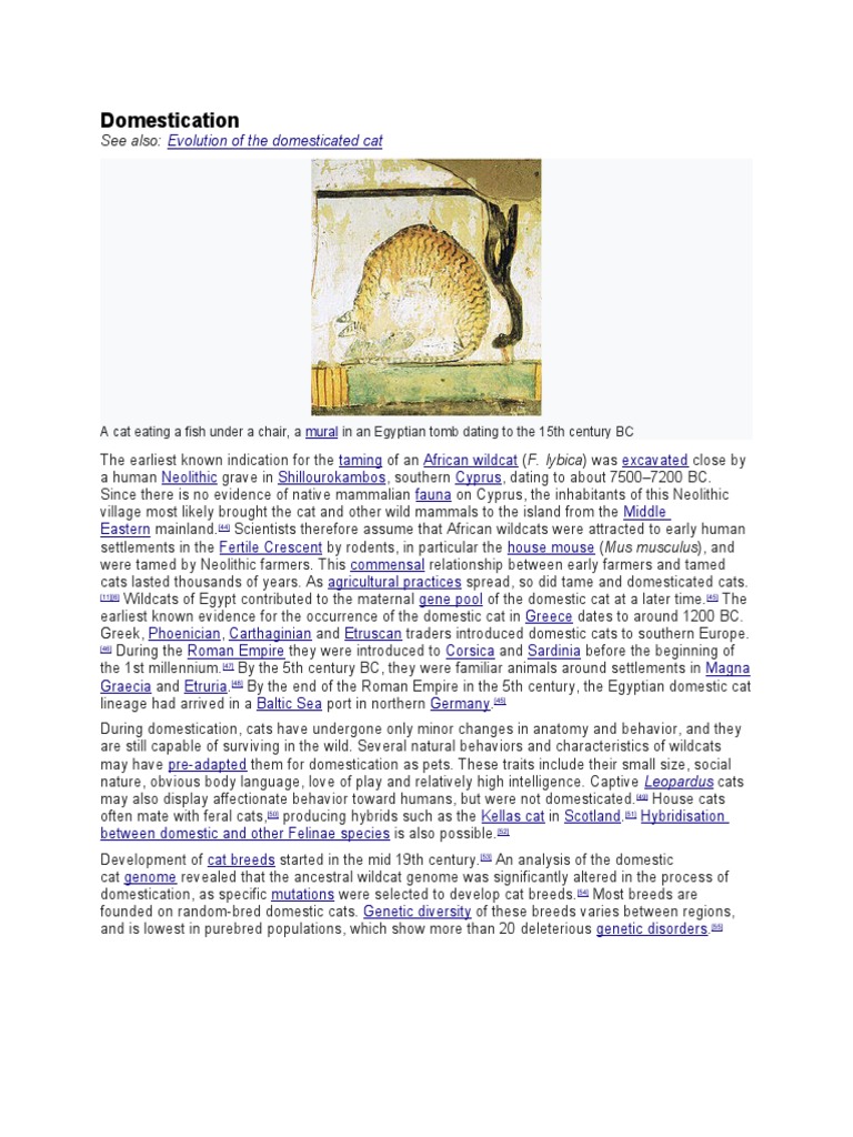 Domestication: Evolution of The Domesticated Cat | PDF | Cats ...