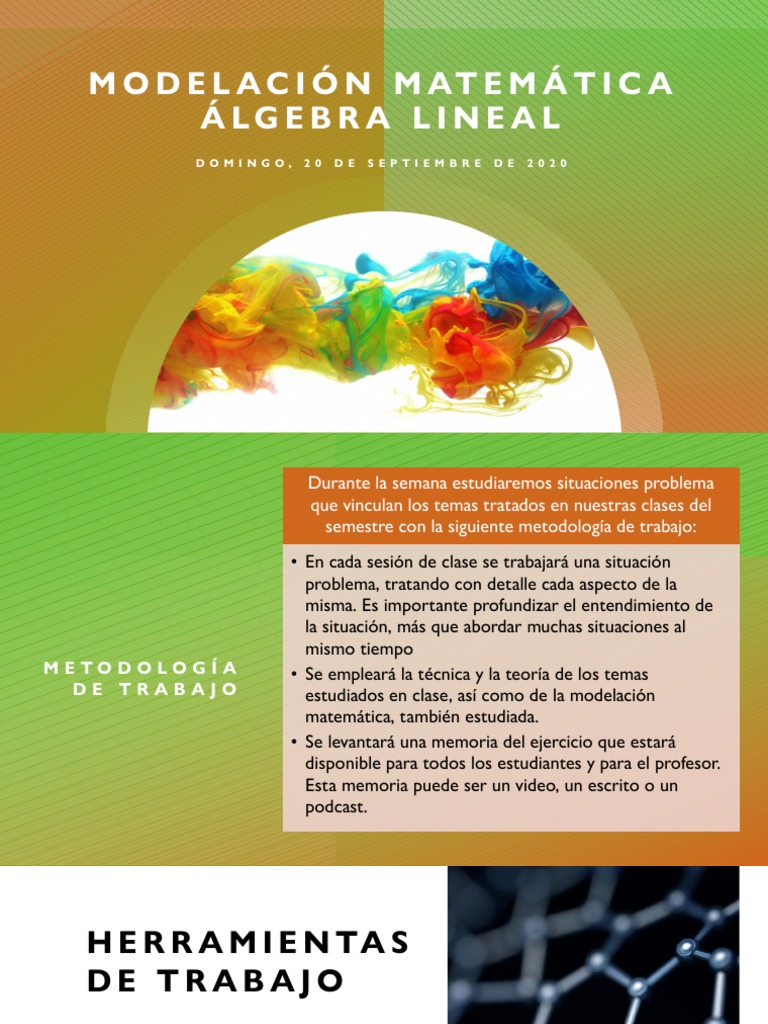 Modelación Matemática Álgebra Lineal | PDF | Análisis matemático ...