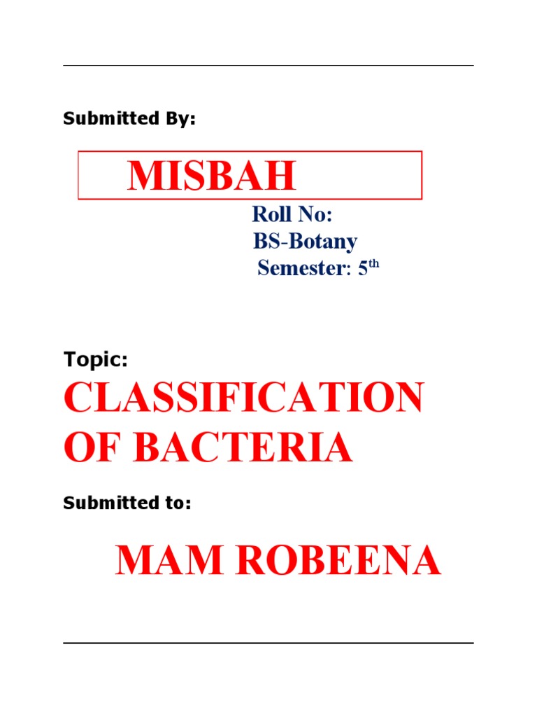 Classification of Bacteria | PDF | Bacteria | Prokaryote