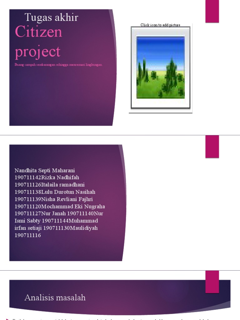 Project Citizen | PDF