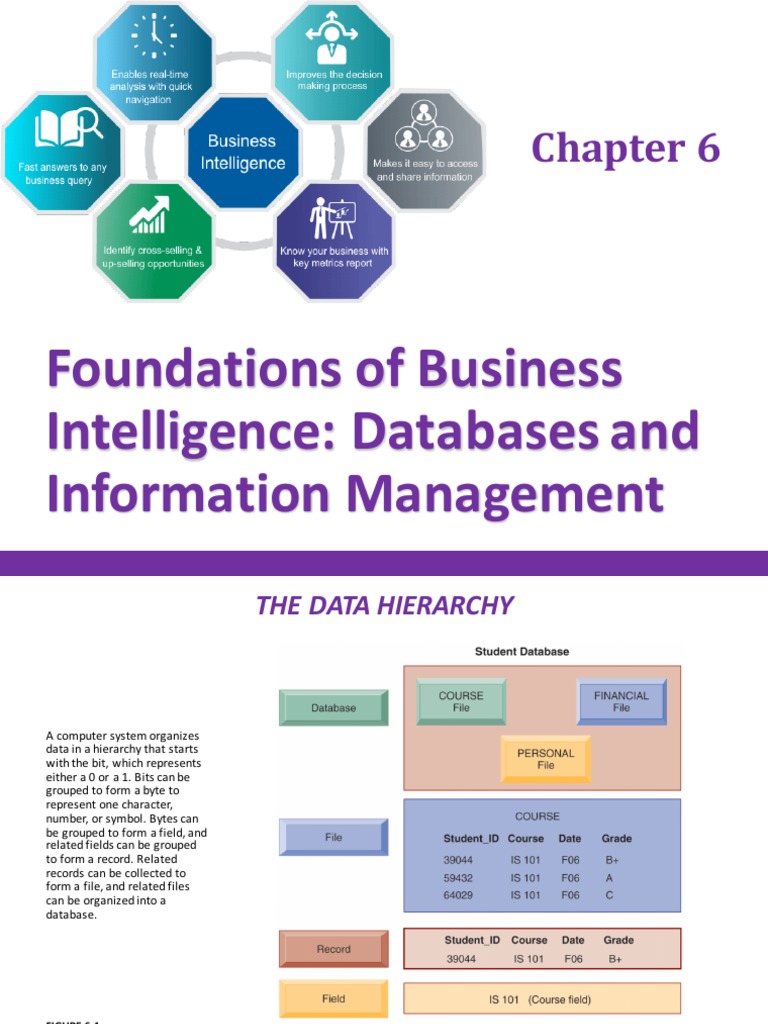 Foundations of Business Intelligence Databases and Information ...