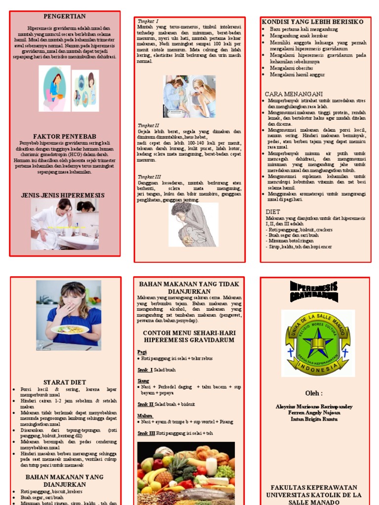 Leaflet Hiperemesis Gravidarum | PDF