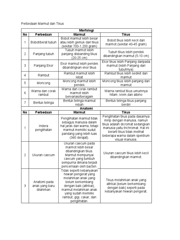 Perbedaan Marmut Dan Tikus | PDF