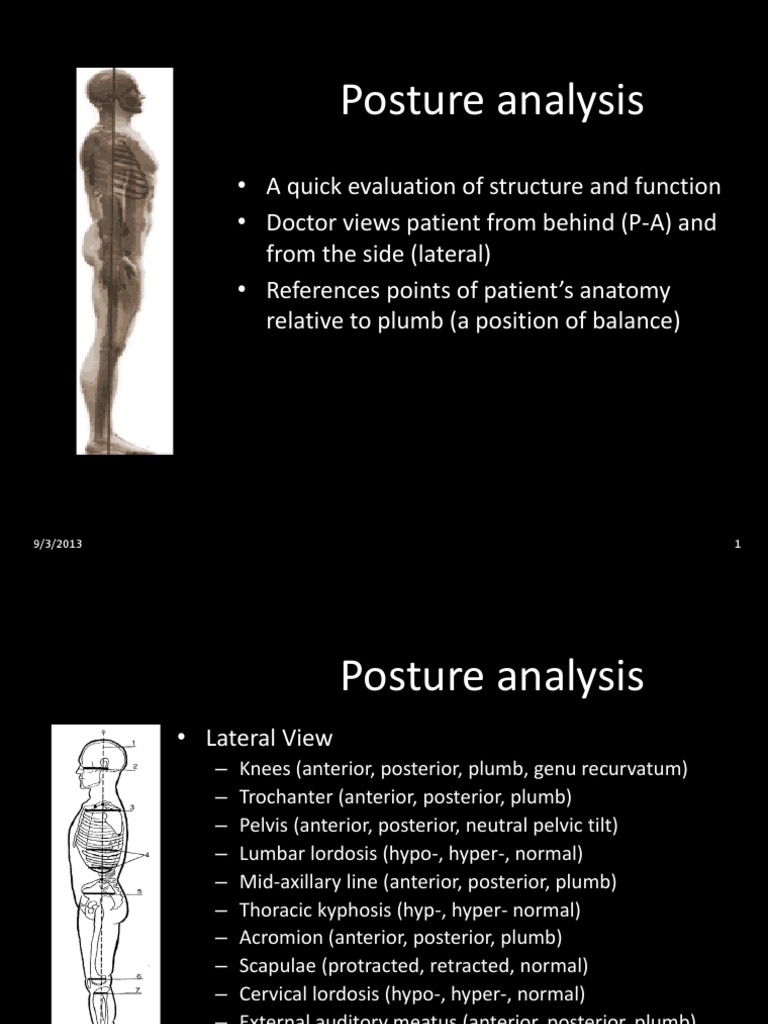Basic Biomechanics | PDF | Vertebral Column | Pelvis