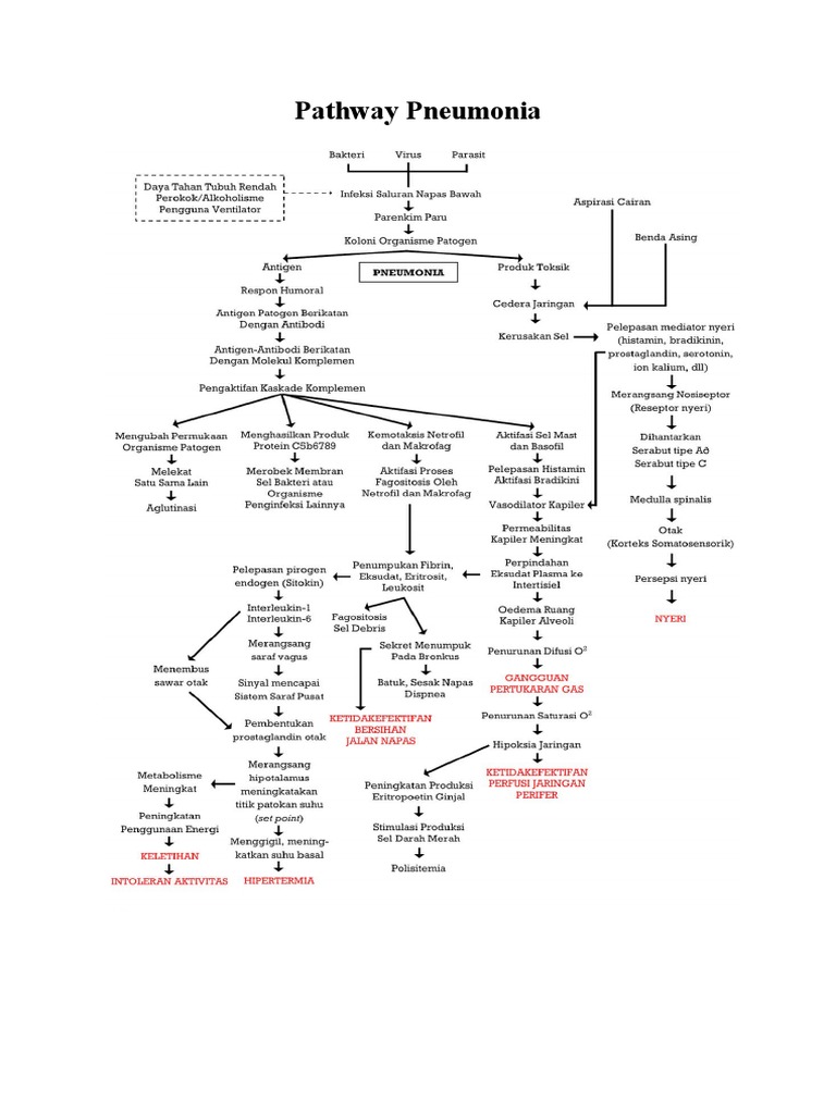 Pathway Pneumonia | PDF