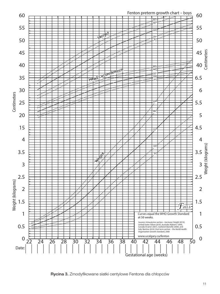 Fenton - Boys | PDF | Childbirth | Human Development