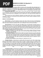 High School Physics Study Guide | PDF | Electromagnetic Radiation | Mirror