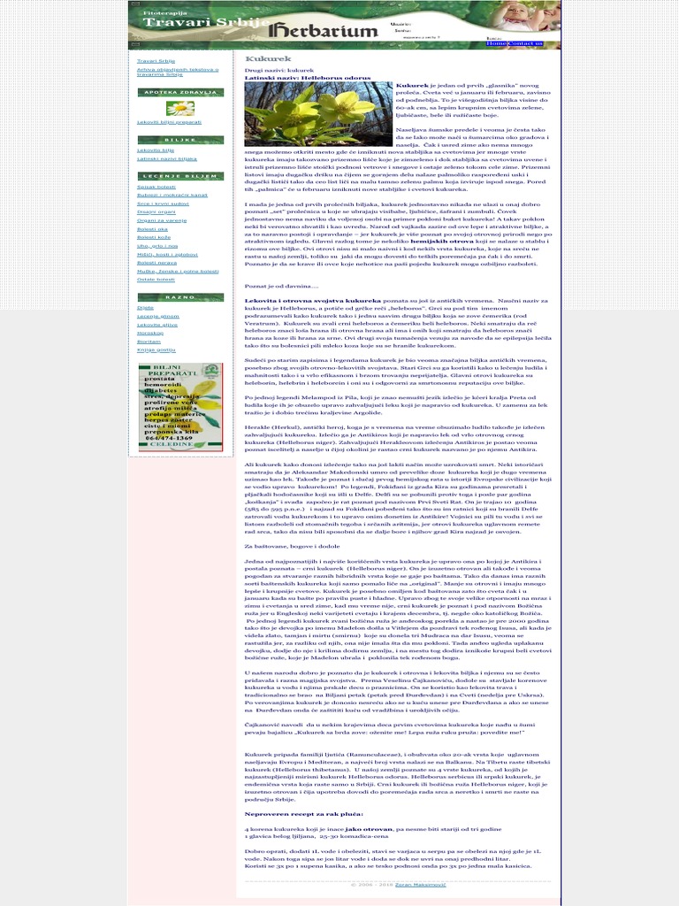 Kukurek - Biljka - Lekovito Bilje - Trave | PDF