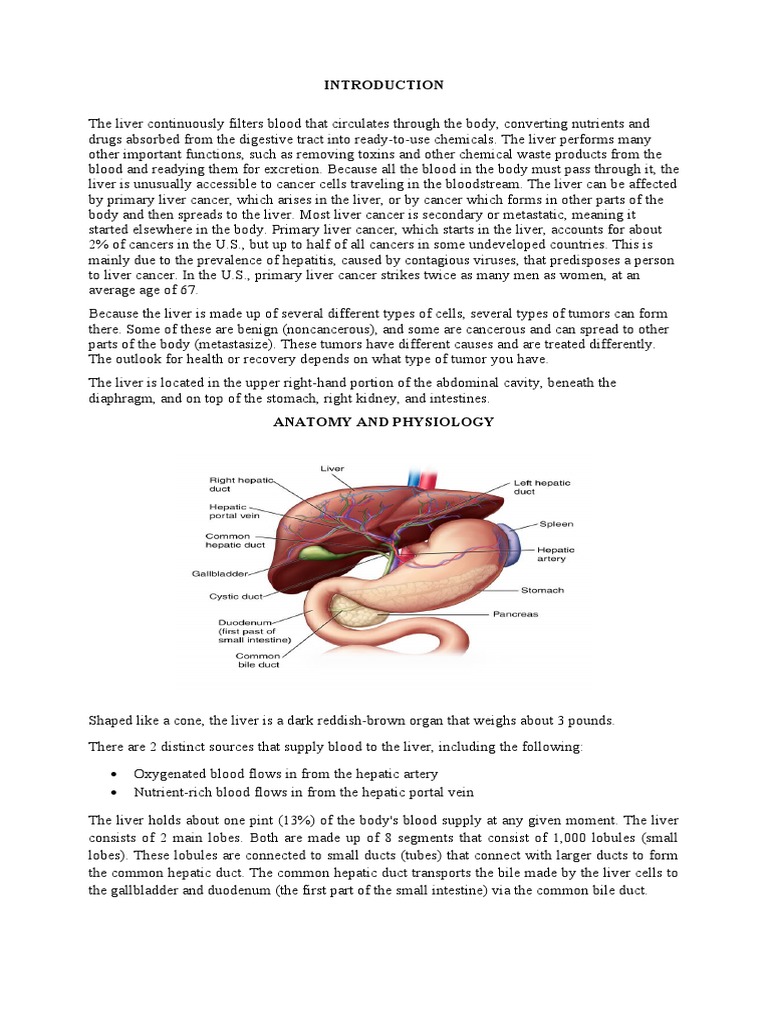 Liver Cancer | PDF | Liver | Cancer