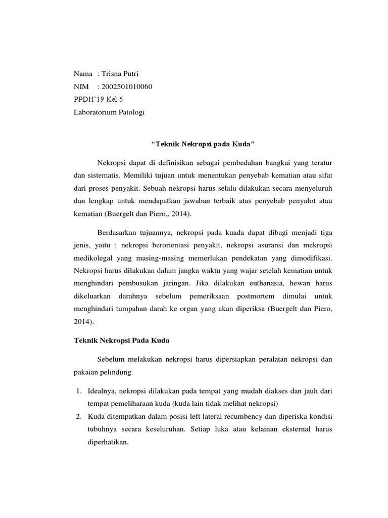 Trisna Putri - TEKNIK NEKROPSI KUDA | PDF