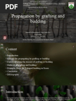 KCSE Agriculture Project Report 2025 | PDF